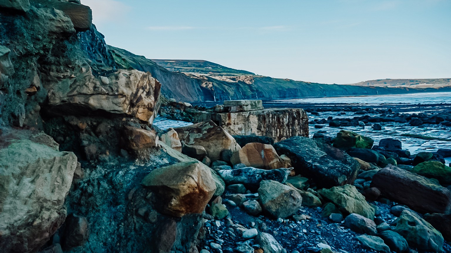 Ravenscar Seal Colony - North Yorkshire Wildlife - Iconic Magazine Online
